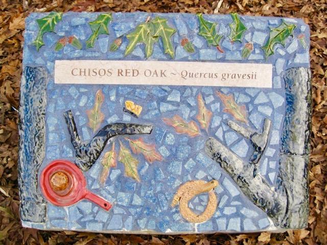 UC Davis Arboretum and Public Garden - Oak Tree Plaque Gallery